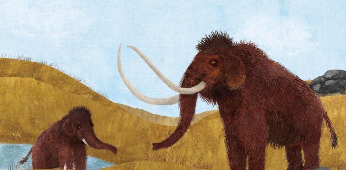 Doggerland-challenge voor families | Museum/nl\