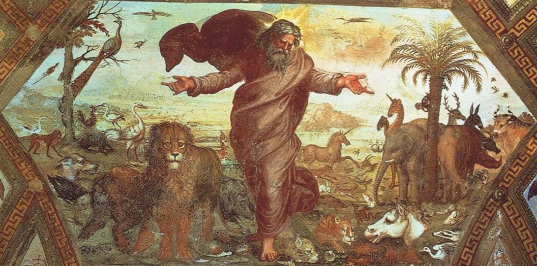 Dieren van Gods schepping | Museum/nl\