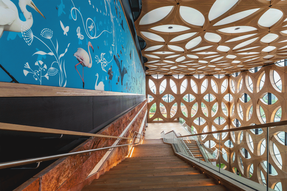 Naturalis | Museum/nl\